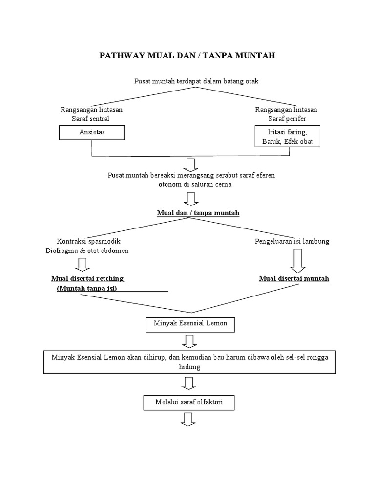 Pathway Mual dan Muntah di Indonesia | PDF