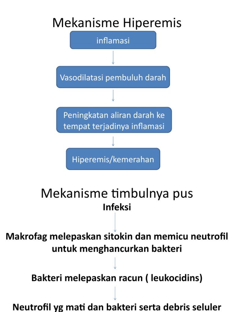 Hiperemis + Pus | PDF | Politik | Sains & Matematika