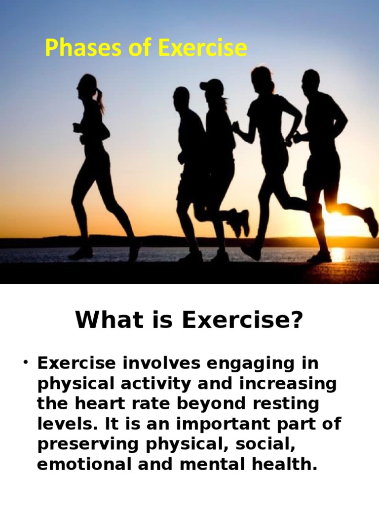 Phases of Exercise | PDF