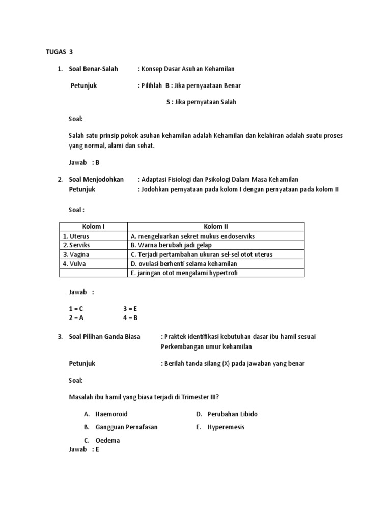 Contoh Pembuatan Soal Pilihan Ganda | PDF