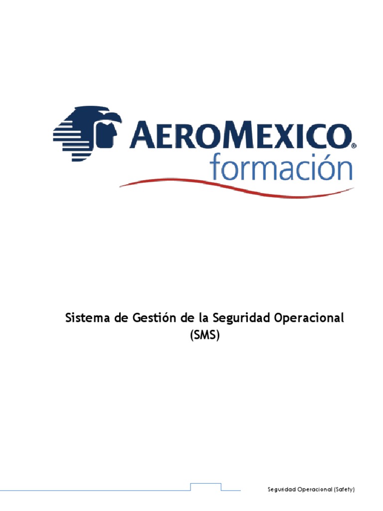 Manual SMS Incial Genérico AM 2018 | PDF | Riesgo | Seguridad de la aviación