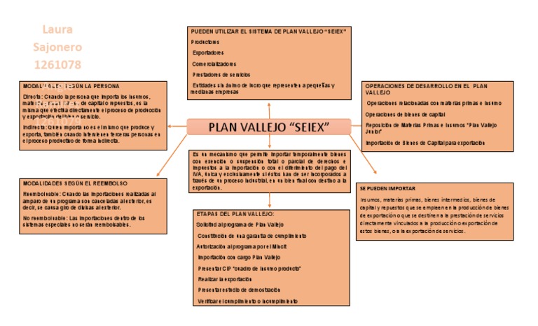 MAPA MENTAL SEIEXb | PDF | Exportaciones | Business