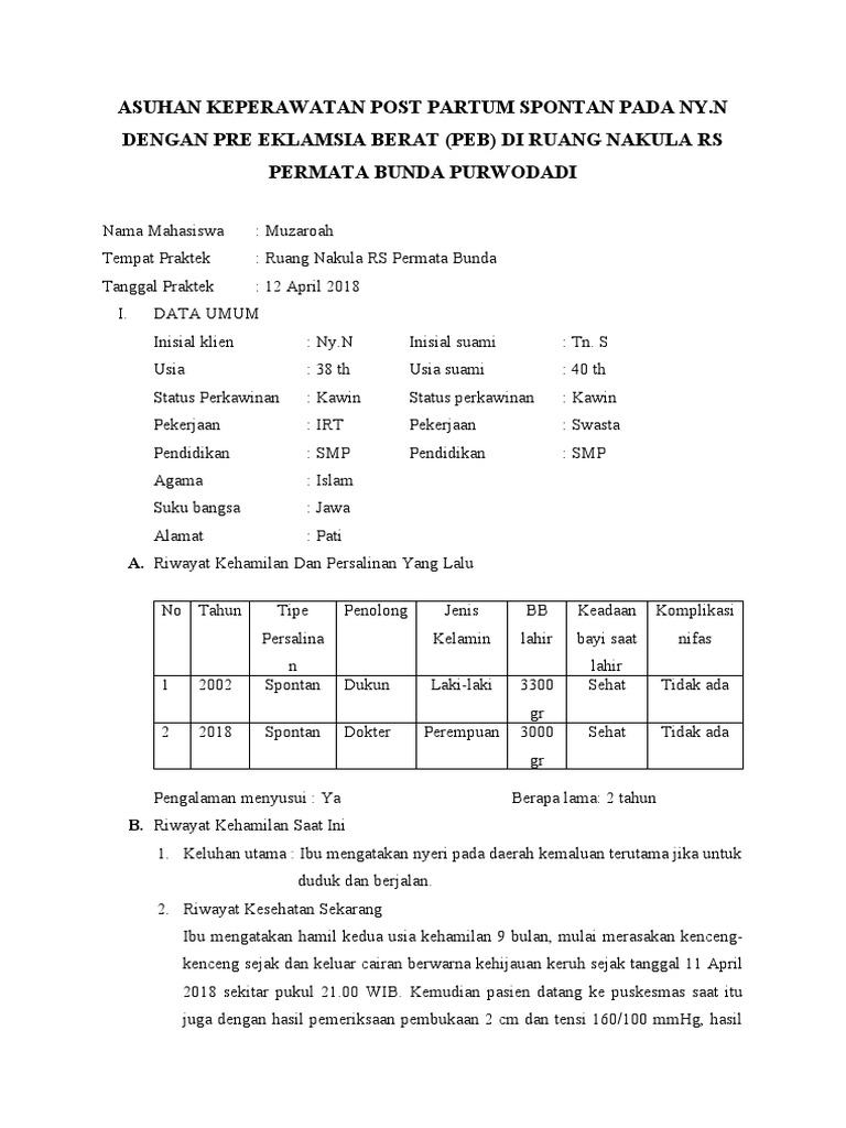 Asuhan Keperawatan Post Partum Spontan Peb | PDF