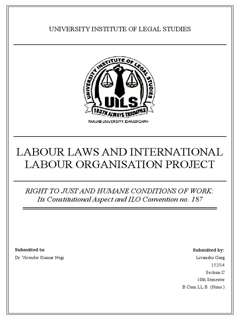 Labour II | PDF | International Labour Organization | Occupational ...
