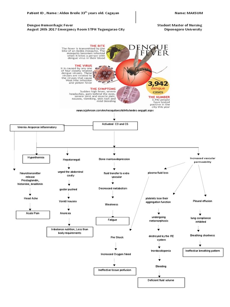 Mind Map DHF | PDF | Bleeding | Epidemiology