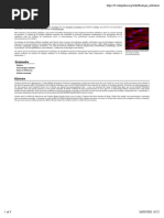 Sporulation et structure des spores bactériennes | PDF | Spore | Biologie