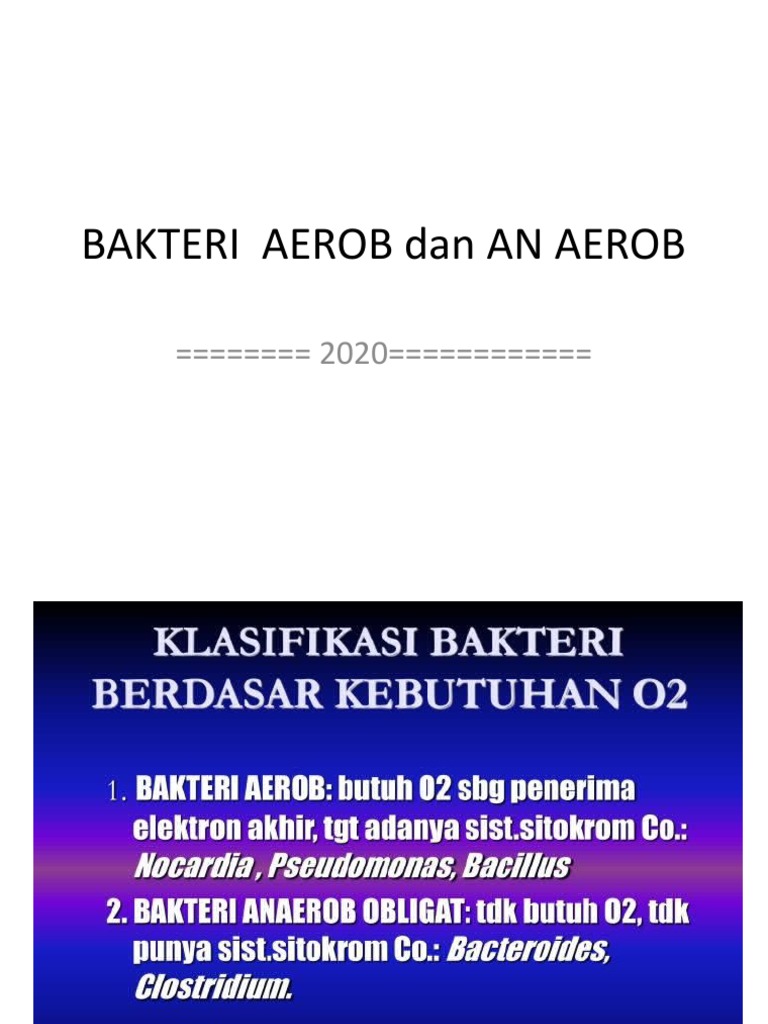 BAKTERI AN AEROB Dan AEROB | PDF