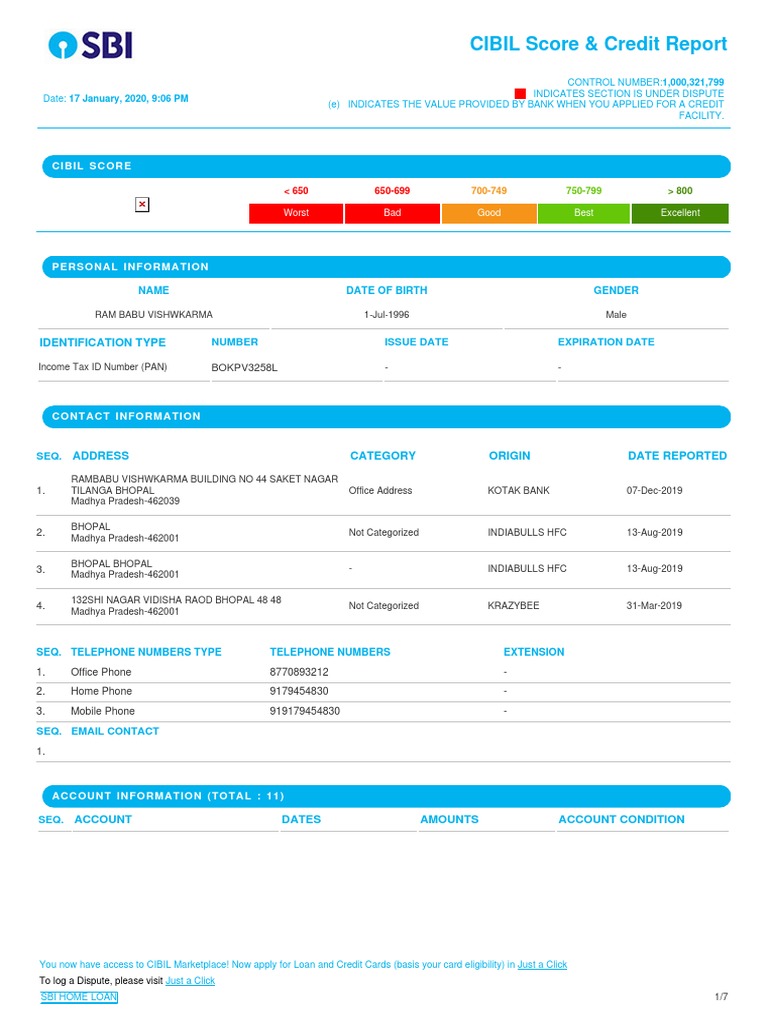 Cibil Report RAM BABU VISHWKARMA1579275405637 PDF | PDF | Collateral ...