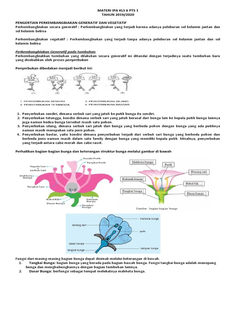 Materi Ipa KLS 6 PTS 1 | PDF