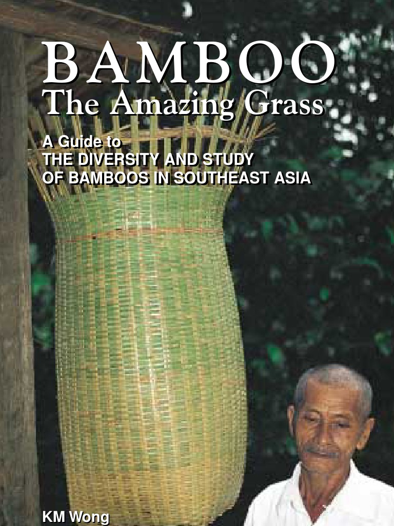 Bamboo in Southeast Asia | PDF | Bamboo | Leaf