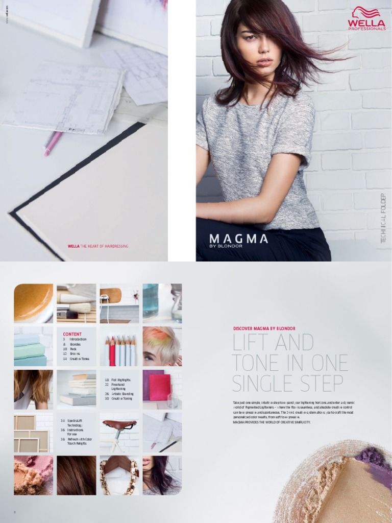 Technical Folder PDF | PDF | Dye | Hair