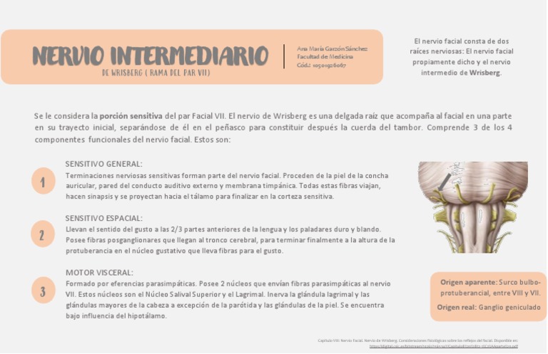 Wrisberg Neuro | PDF | Órgano (anatomía) | Anatomia animal