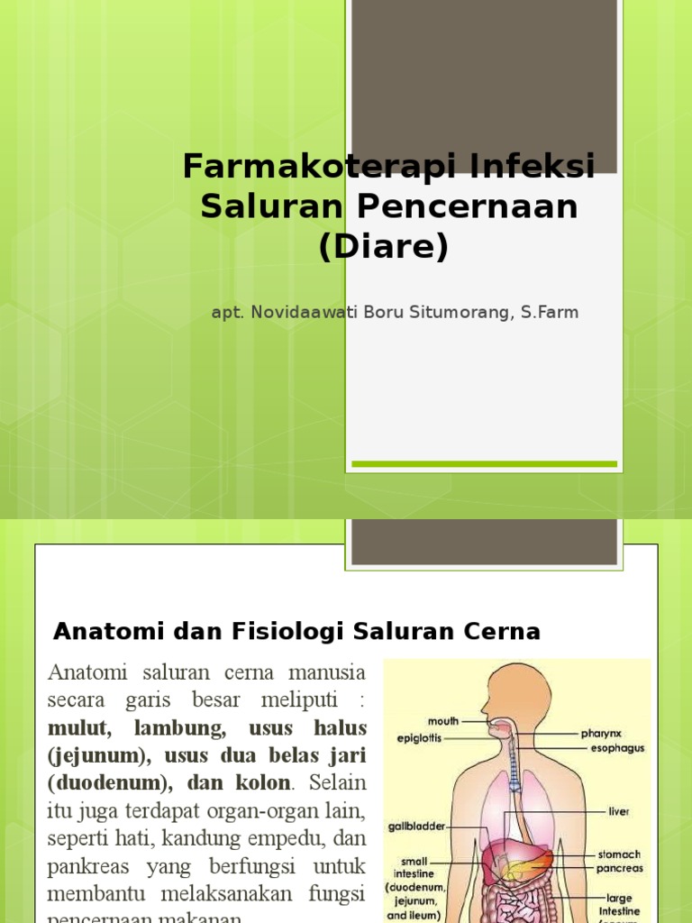 Farmakoterapi Infeksi Saluran Pencernaan (Diare) | PDF