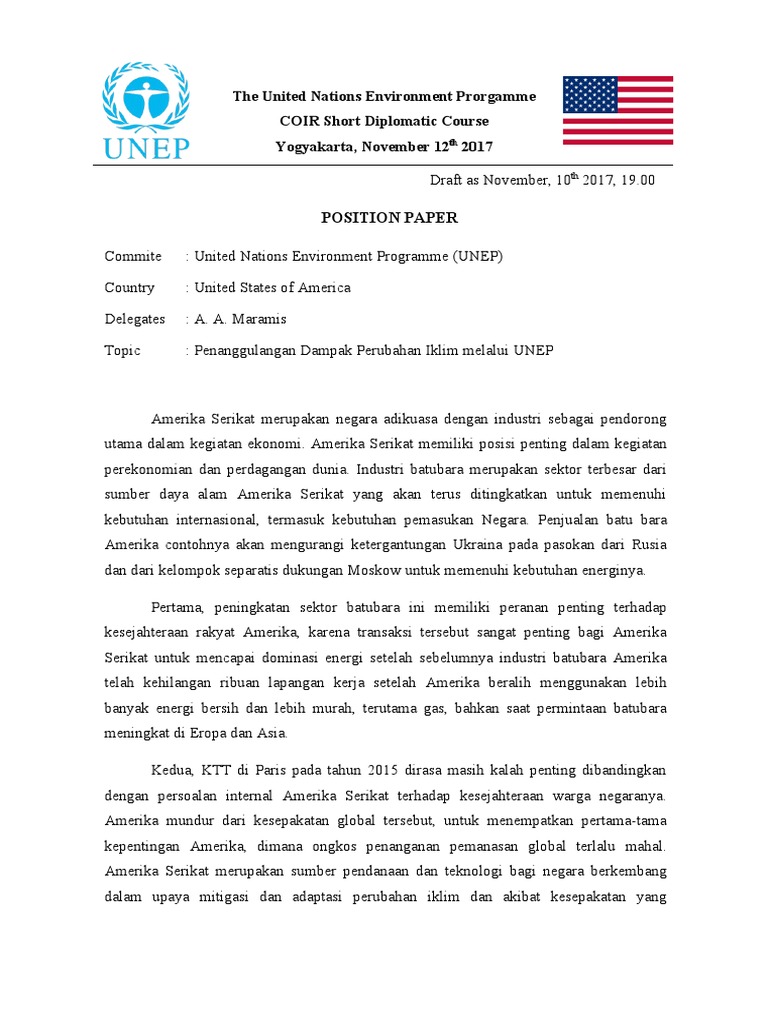 Position Paper USA | PDF