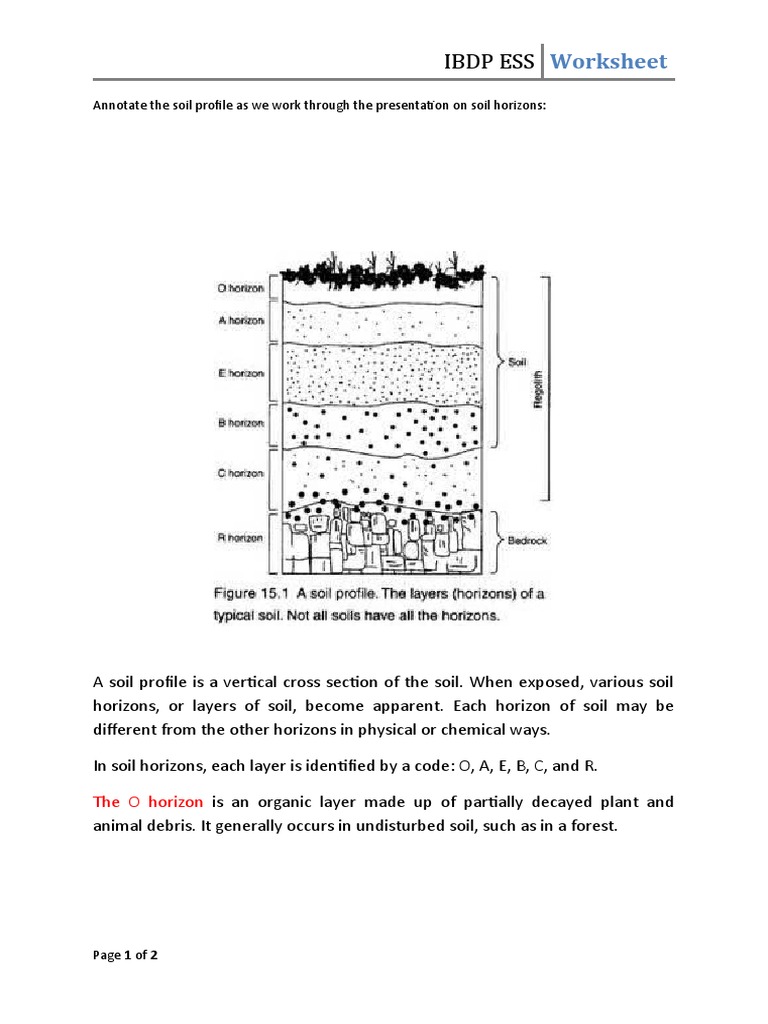 Soil Profile To Label (WS1) | PDF
