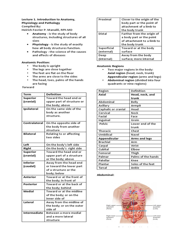 Lec1 Intro To Physiology and Pathophysiology PDF | PDF | Anatomical ...