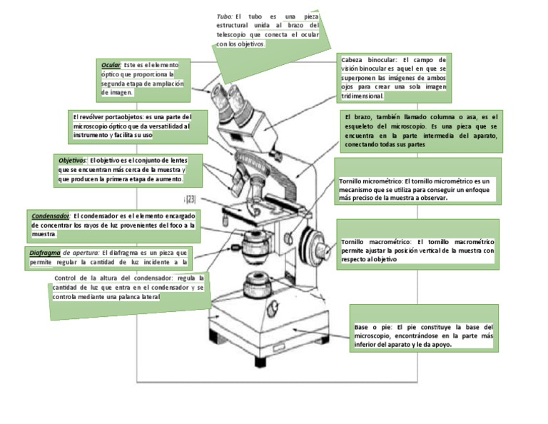Esquema Del Microscopio | PDF | Lente de la cámara | Óptica