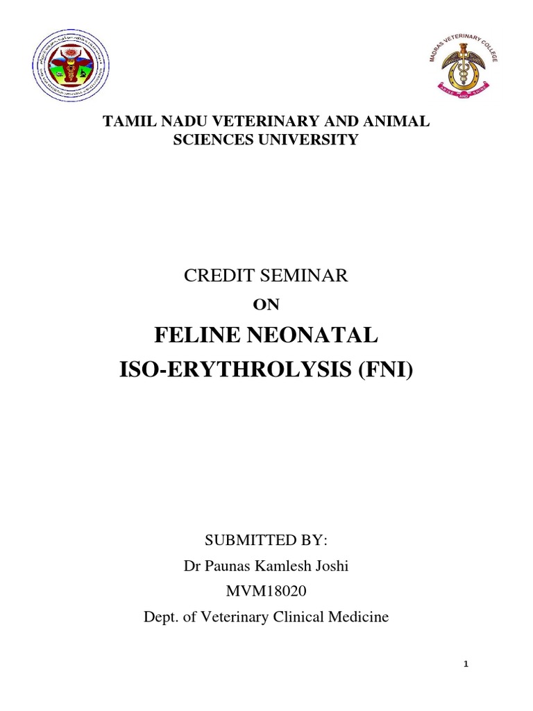 Feline Neonatal Isoerythrolysis | PDF | Blood Type | Blood Transfusion