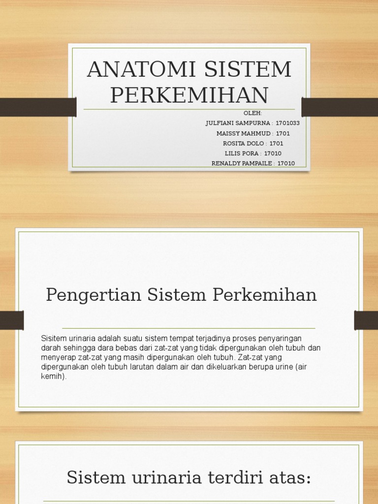 Anatomi Sistem Perkemihan | PDF