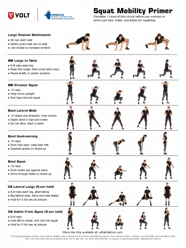 Pre Squat Mobility Nsca PDF | PDF