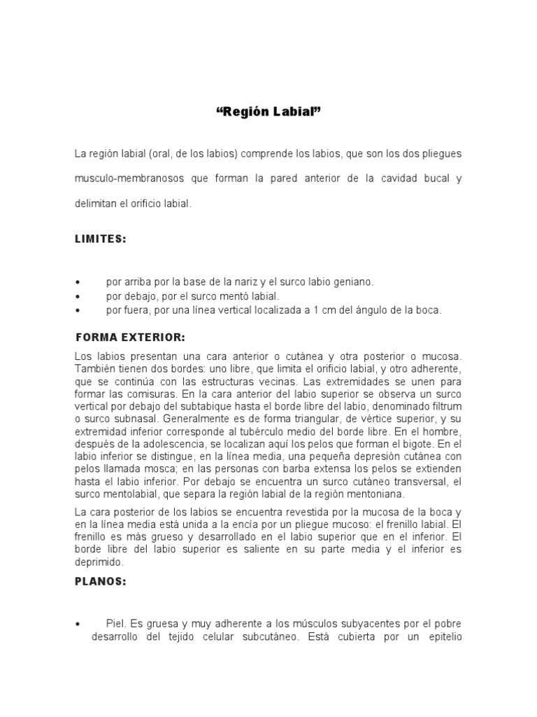 Anatomía de la Región Labial | PDF | Labio | Anatomía de los primates