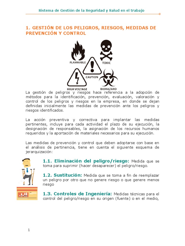 Gestión de Peligros, Medidas de Prevención y Control | PDF | Seguridad ...