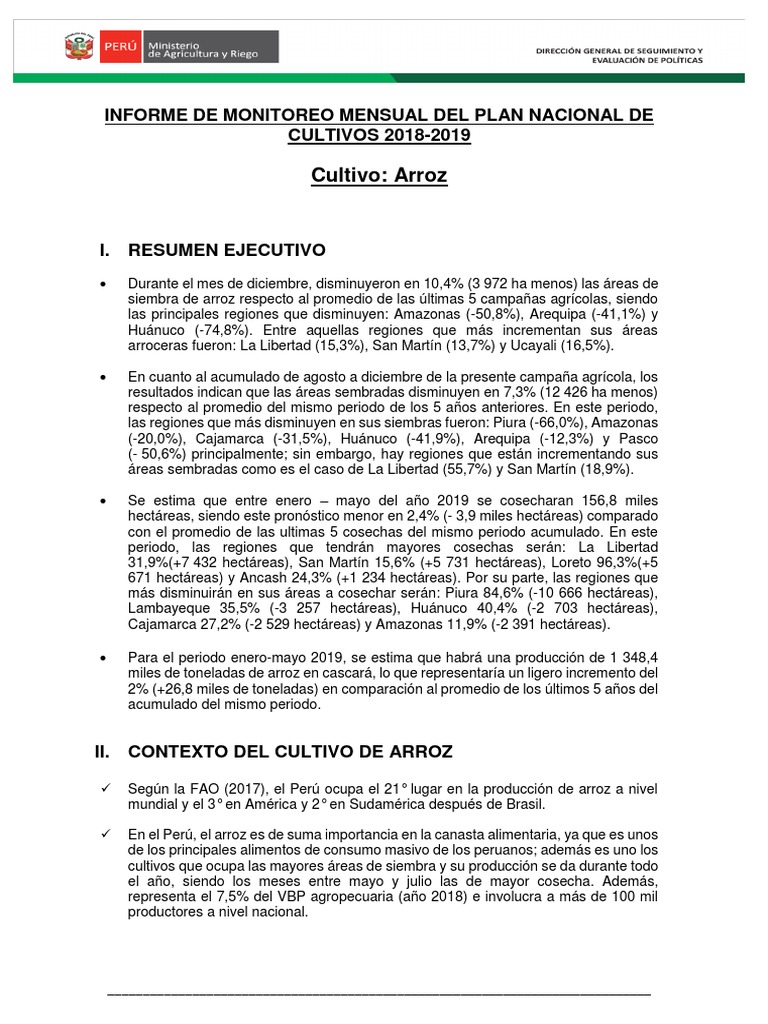 Reporte Mensual | PDF | Patata | Perú