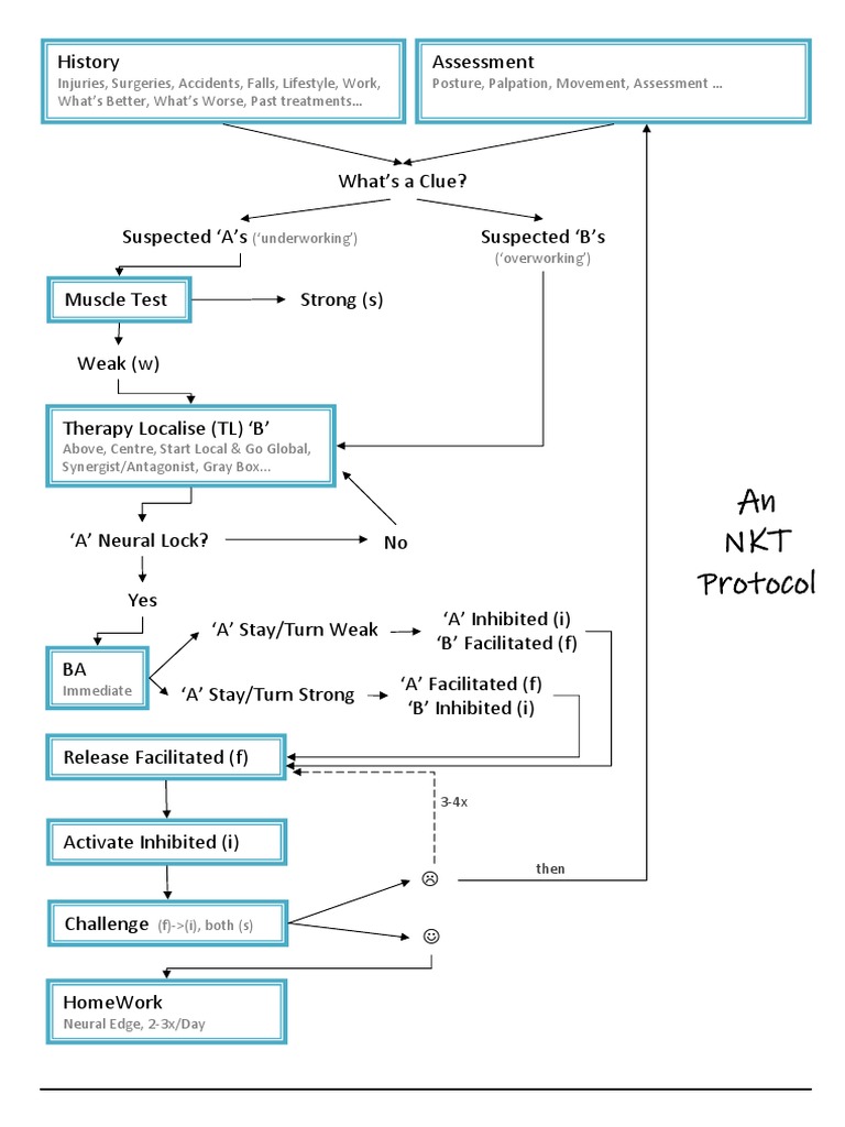 NKT FlowChart - PDF Version 1 PDF | PDF | Anatomical Terms Of Motion ...