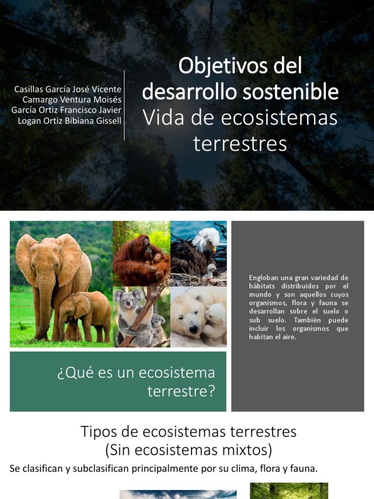 Vida en Ecosistemas Terrestres | PDF | Suelo | Los bosques