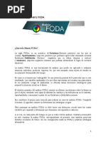 Matriz FODA (Maxi-Mini) | PDF