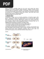 Reproduksi Bakteri, Tahapan, Cara, Dan Gambar Ilustrasinya | PDF | Sains & Matematika