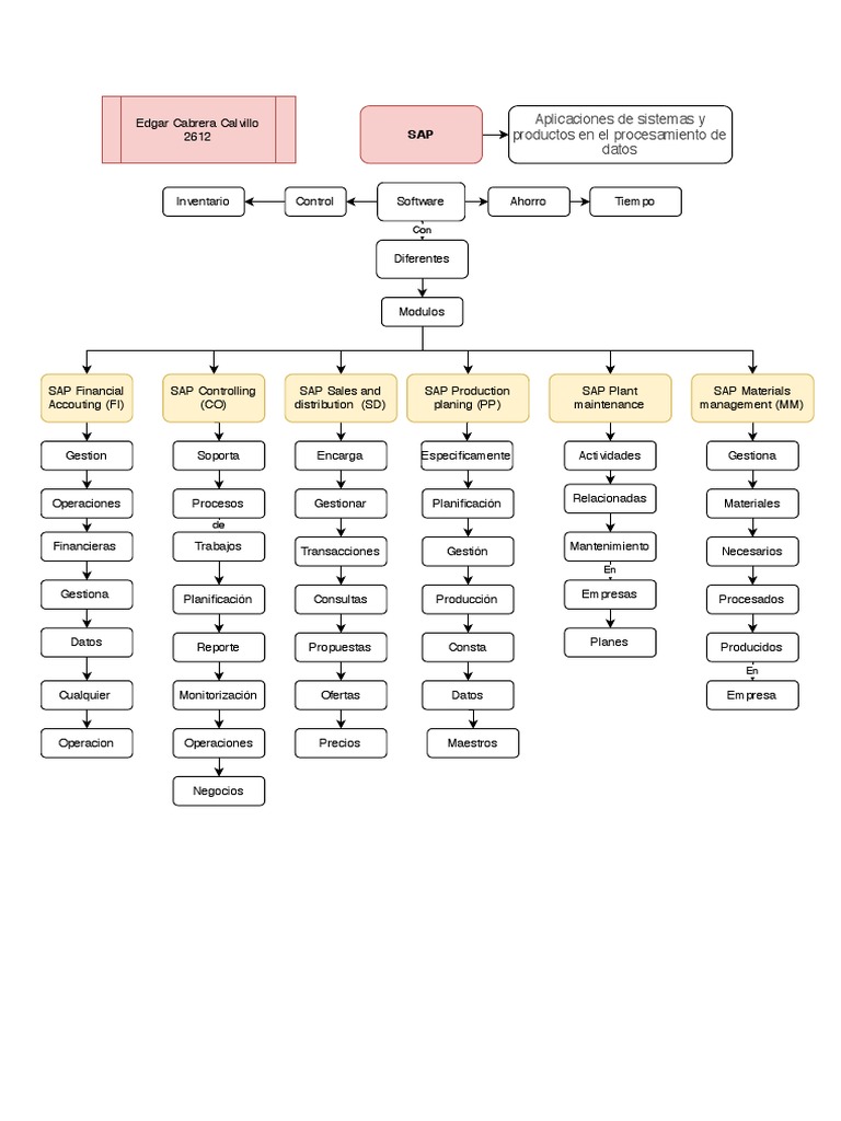 Mapa Conceptual SAP | PDF
