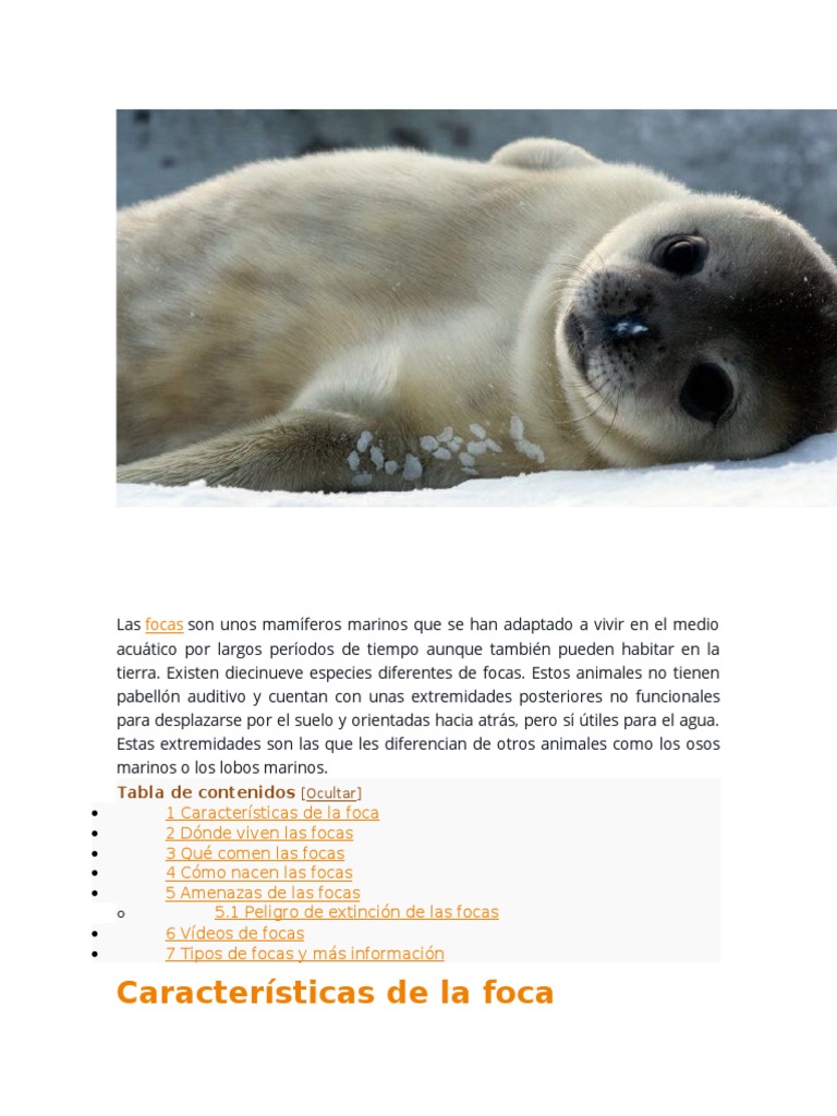 Las Focas | PDF | Organismos | Conservación