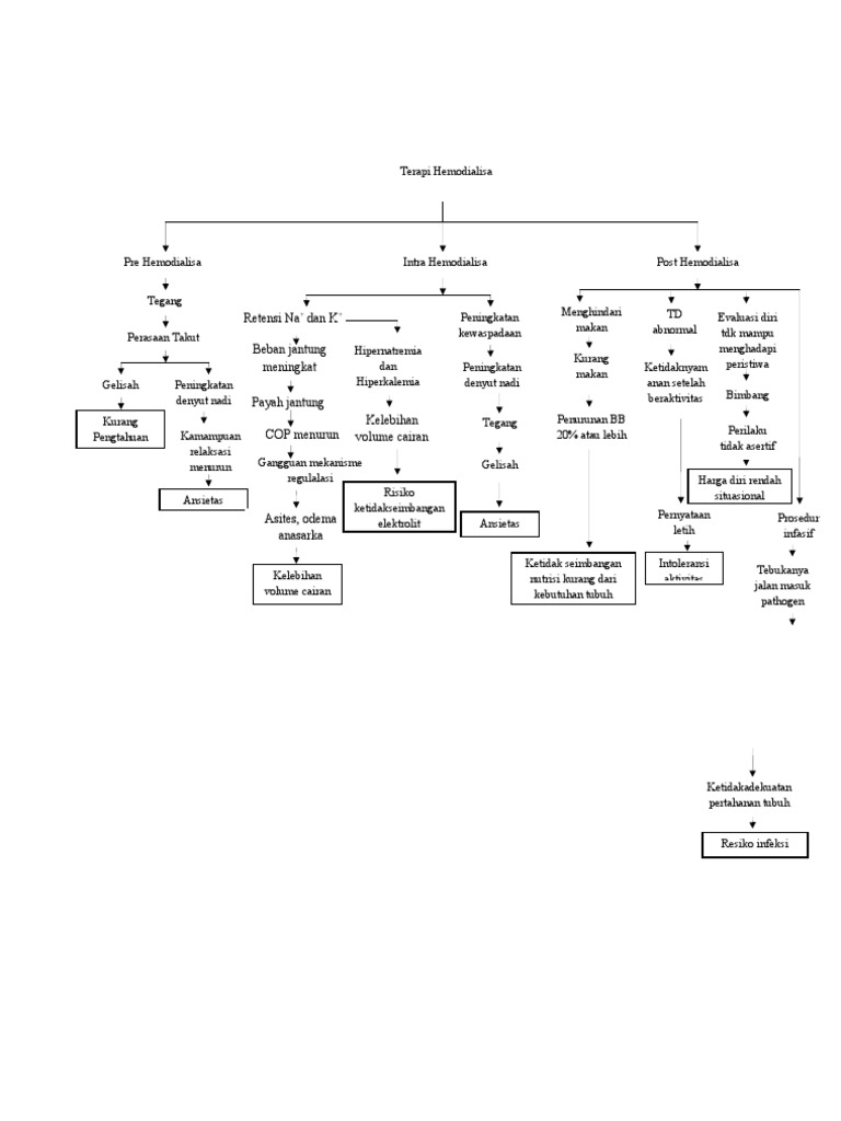 PATHWAY HEMODIALISA Lanjutan | PDF