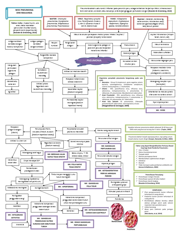 Woc Pneumonia | PDF