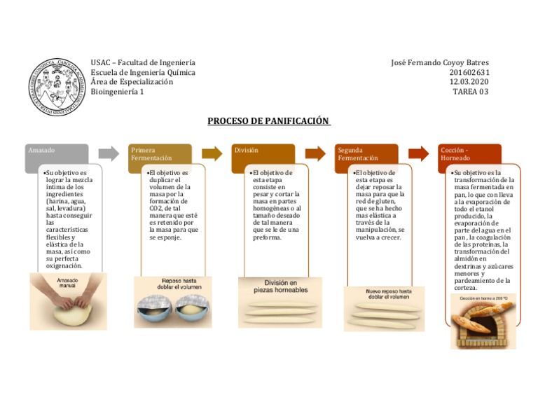 Procesos de Panificación | PDF | Panes | Alimentos