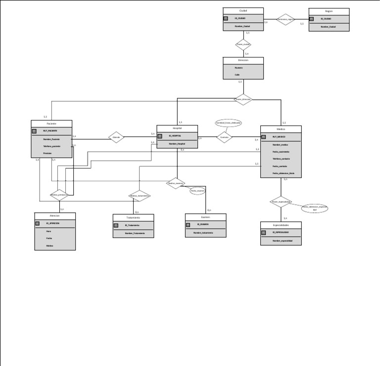 Formato MER Base de Datos | PDF | Medicina | Cuidado de la salud