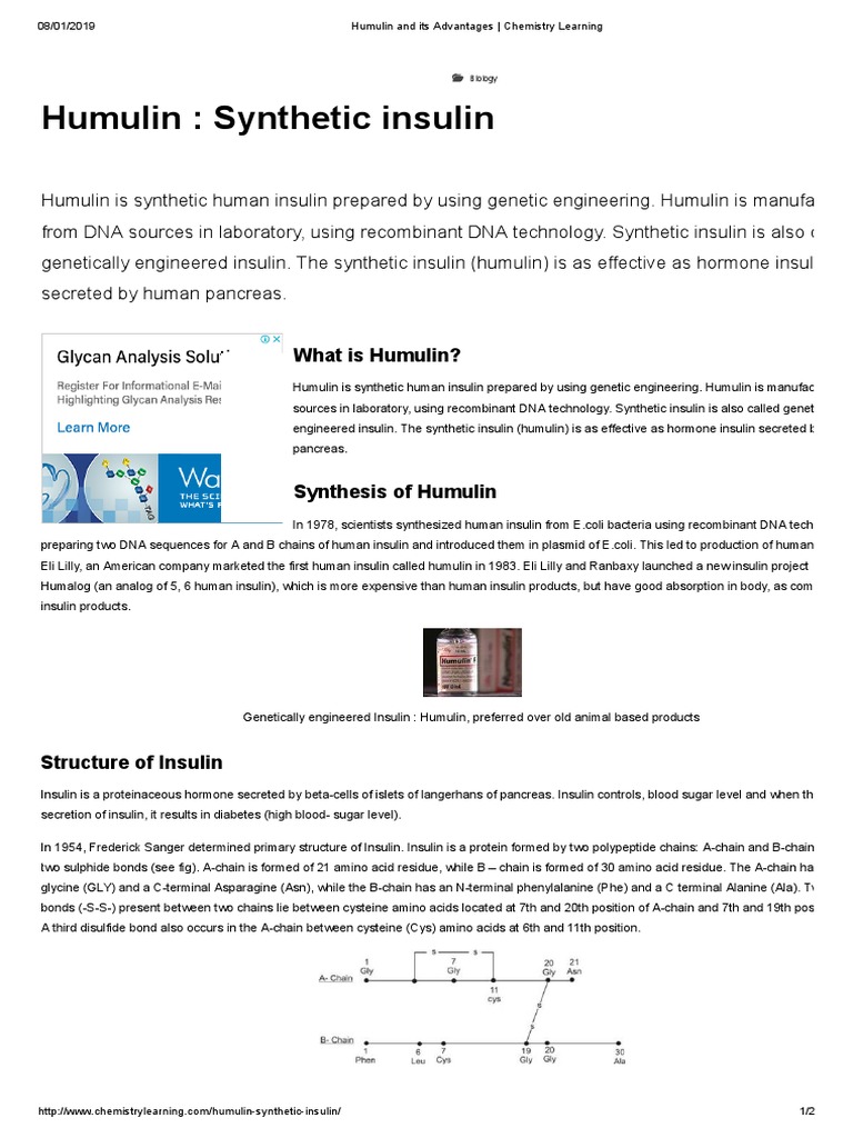 Paper 2 Unit 1 Humulin Introduction | PDF | Insulin | Cysteine