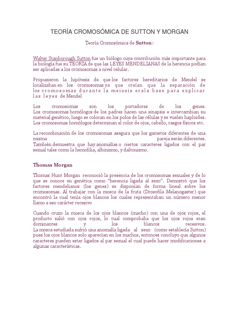 Teoría Cromosómica de Sutton y Morgan | PDF | Sexo | Genética