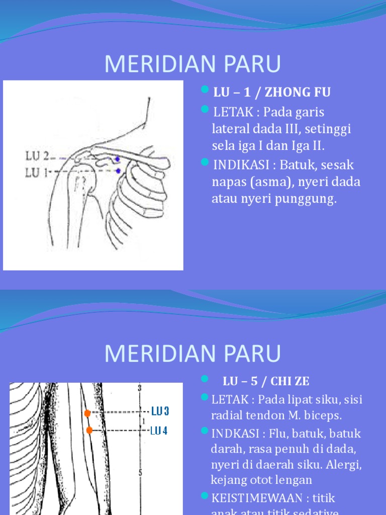 Meridian Paru | PDF | Sains & Matematika