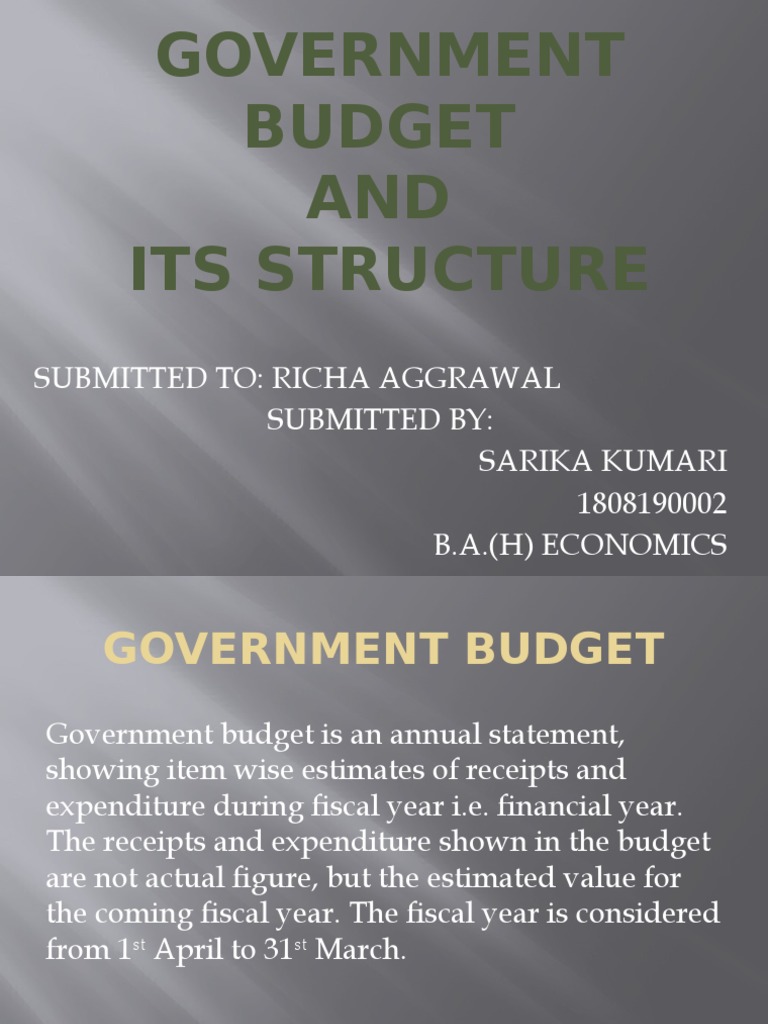 Government Budget Basics | PDF | Government Budget Balance | Budget