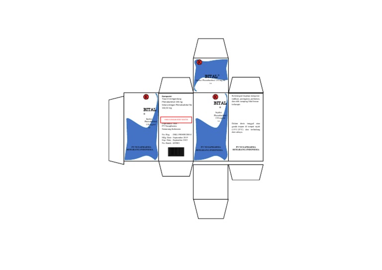 Kemasan Injeksi Luminal | PDF