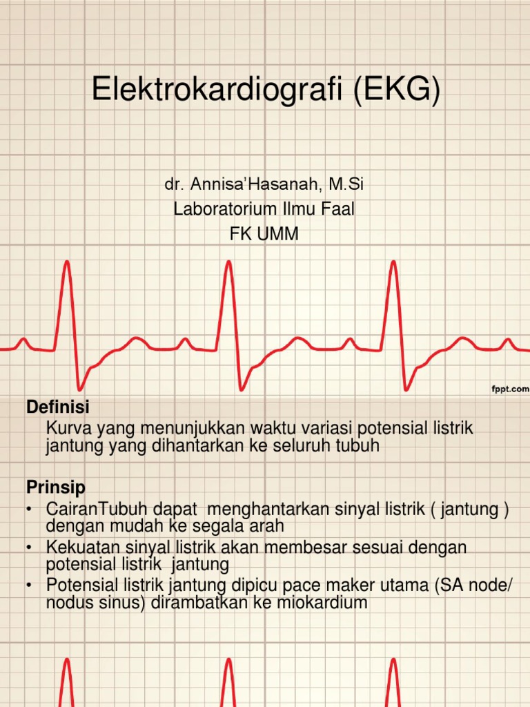 Normal EKG DR - Annisa PDF | PDF