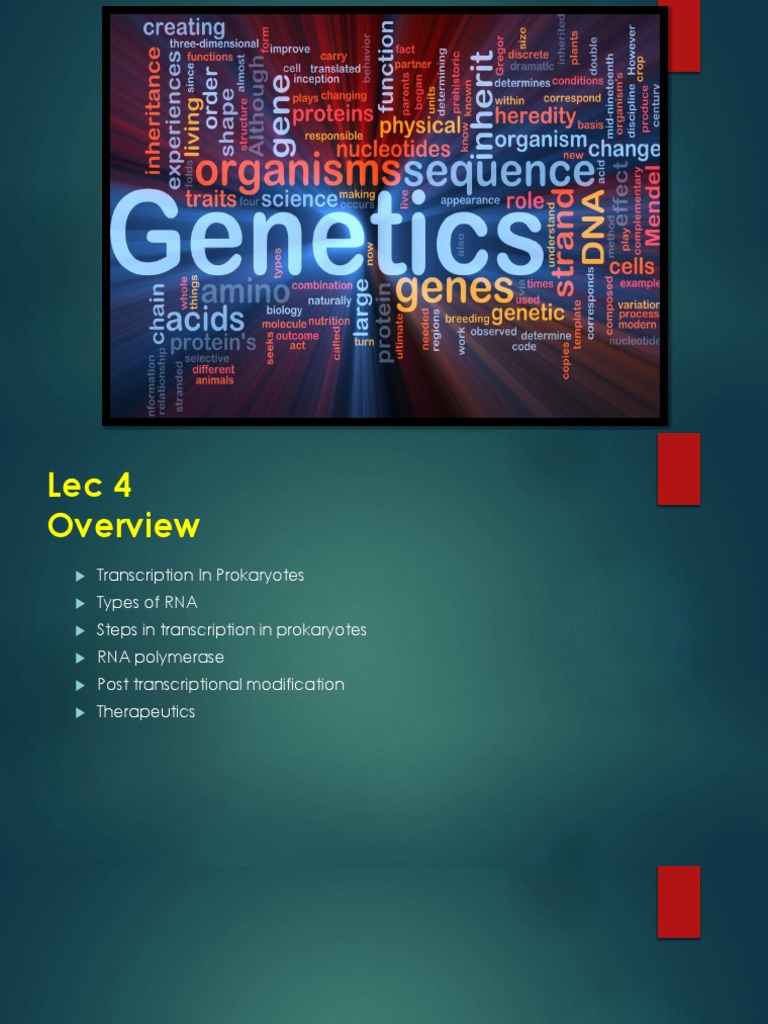 Transcription, Translation, Genetic Code Mutations (Part 2) - Compressed PDF | PDF | Rna ...