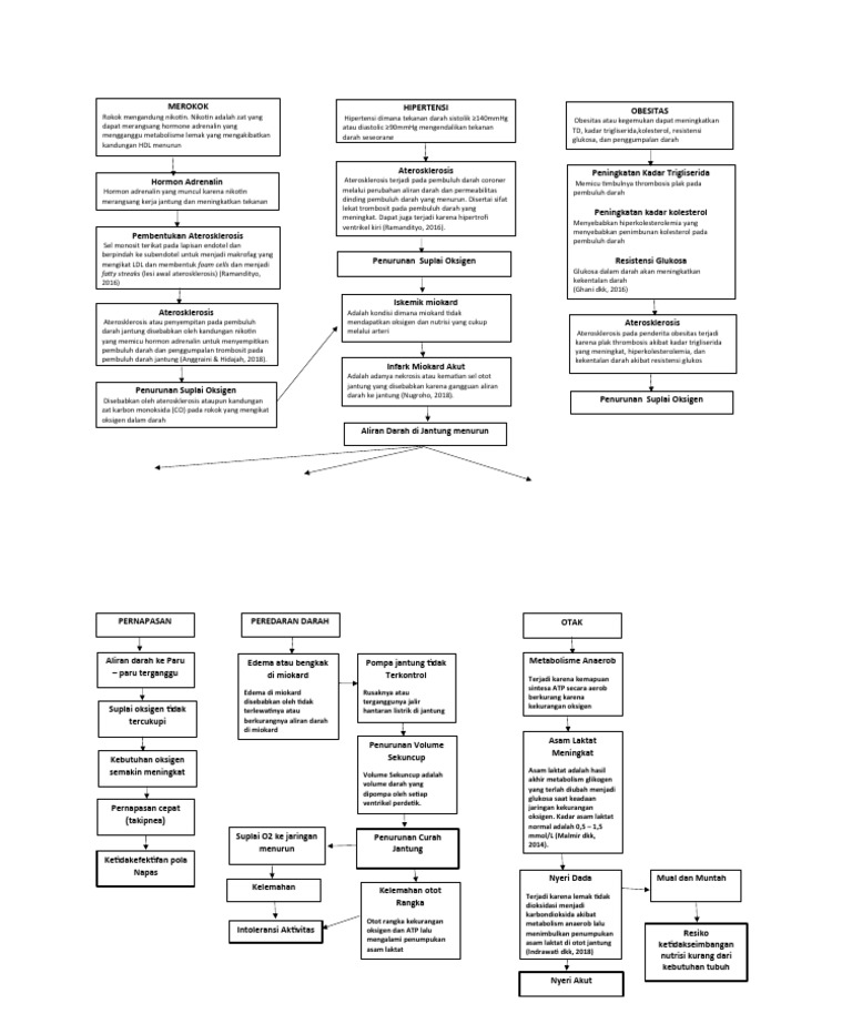 Pathway STEMI | PDF
