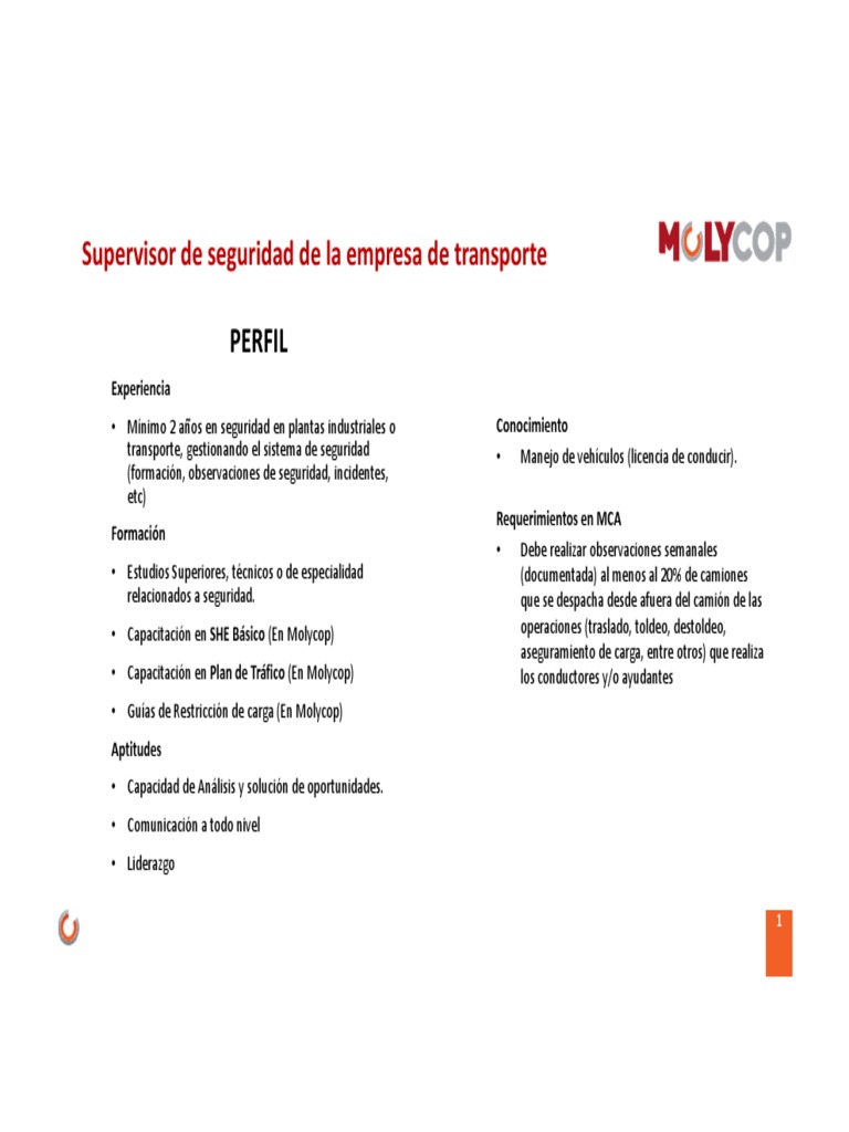 Perfil del Supervisor de Transporte | PDF | Transporte | Business