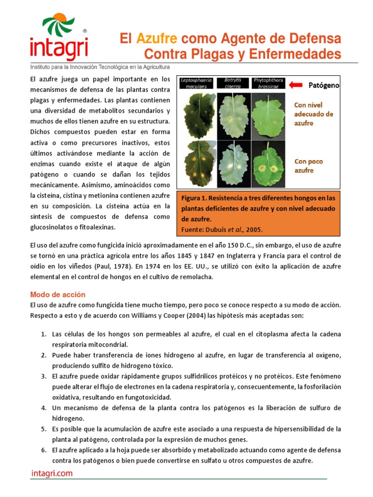 Azufre Como Nutriente y Agente de Defensa Contra Plagas y Enfermedades ...