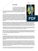 Levels of Organization Lesson Plan | PDF | Organ (Anatomy) | Tissue ...