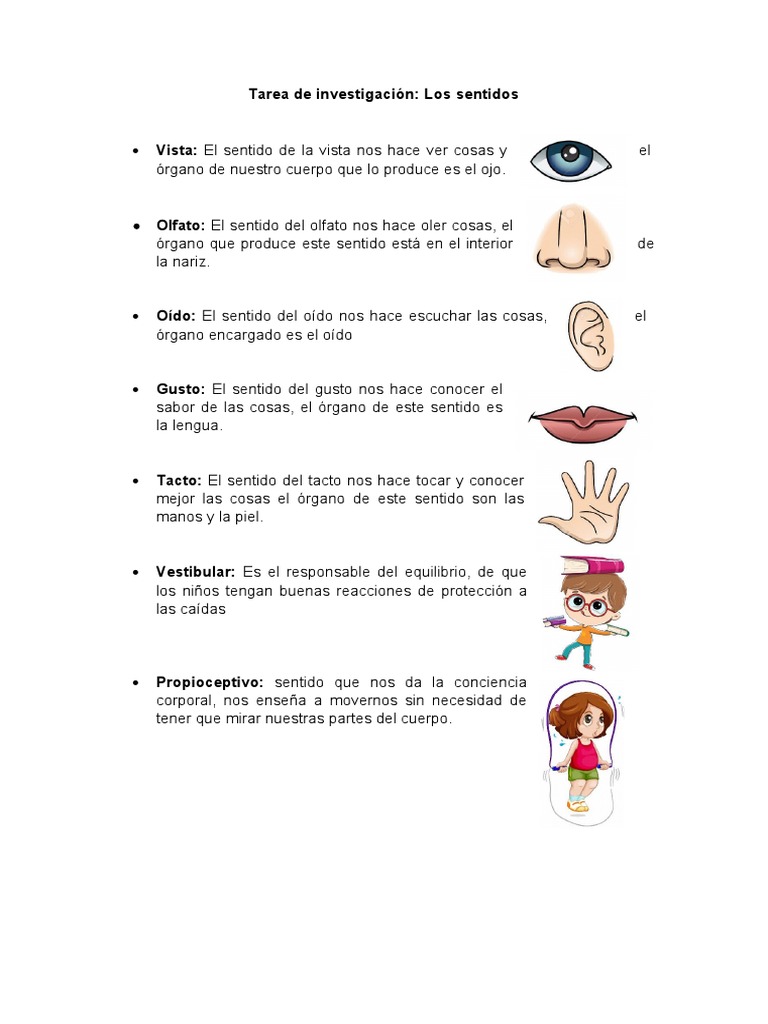 Los 7 Sentidos | PDF | Estudios de idiomas extranjeros