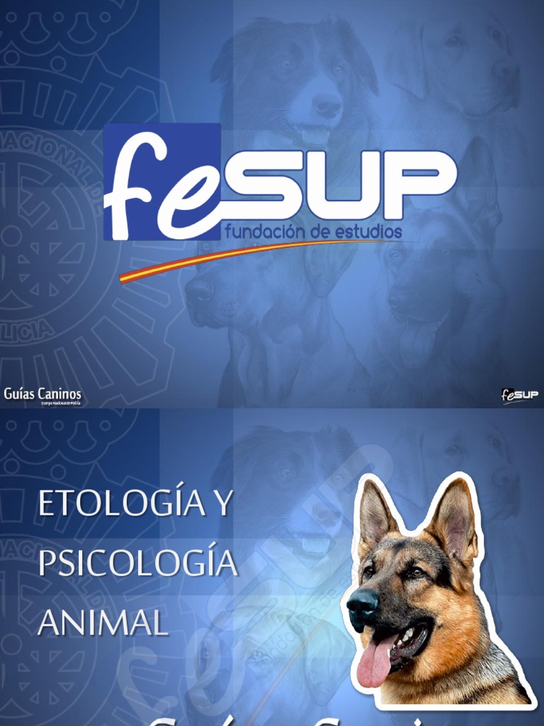 2 Etologia y Psicologia Animal | PDF | Perros | Modificación de ...